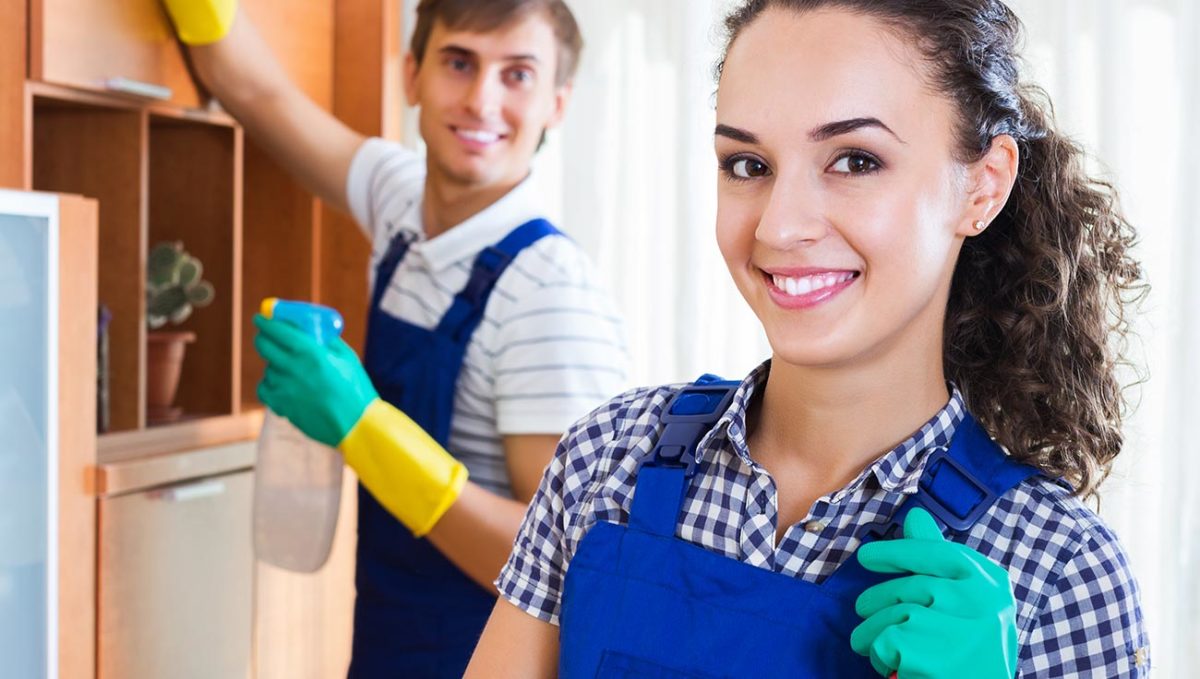 Avada Cleaning Services - A Customizable Pre-built Cleaning Services ...